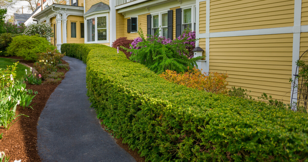 Andrew S. Thomas Landscaping